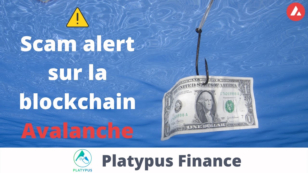 [CRYPTO-SHIELD] ⛔ Gros risques sur Platypus Finance ⛔ - YouTube