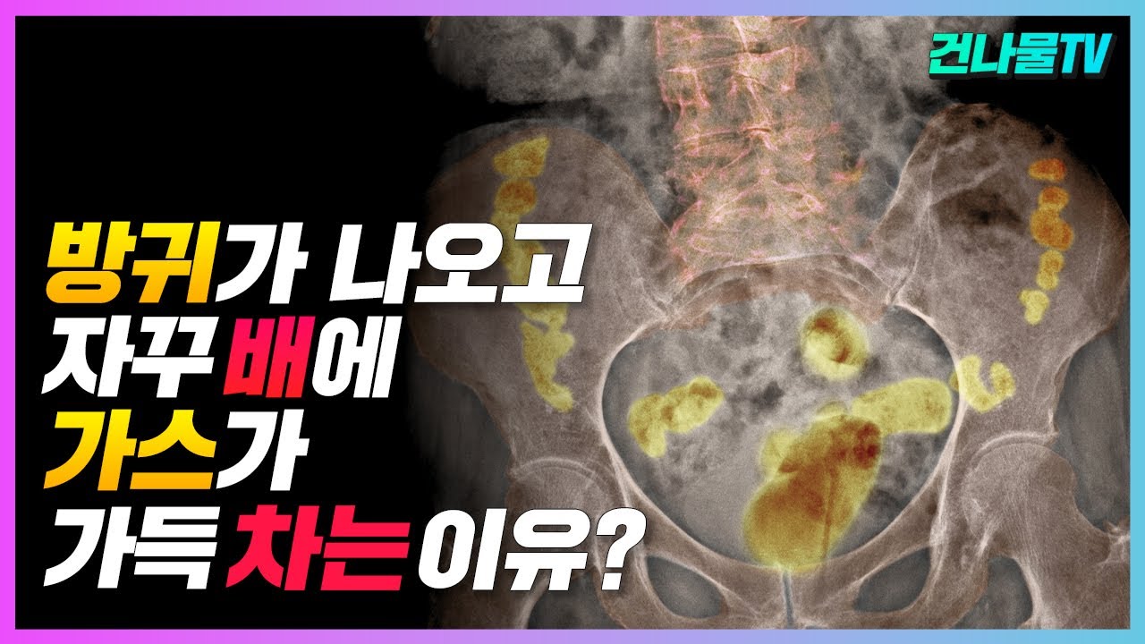배에 가스가 가득 차고 자주 방귀가 나온다면 이렇게 하세요 Youtube