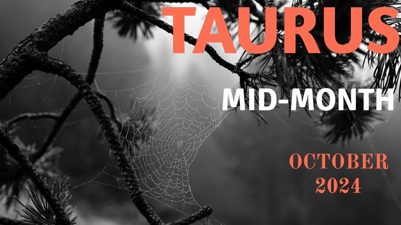 TAURUS OCTOBER 2024 - APOLOGY, LOVE OFFER, MONEY - BEWARE OF THE PAST ...