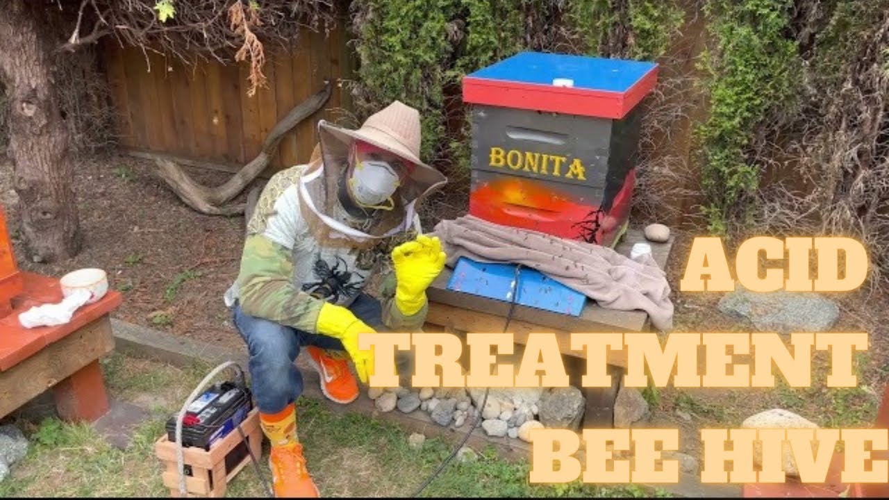 Tutorial: Performing Oxalic Acid Treatment on Bee Hives - YouTube