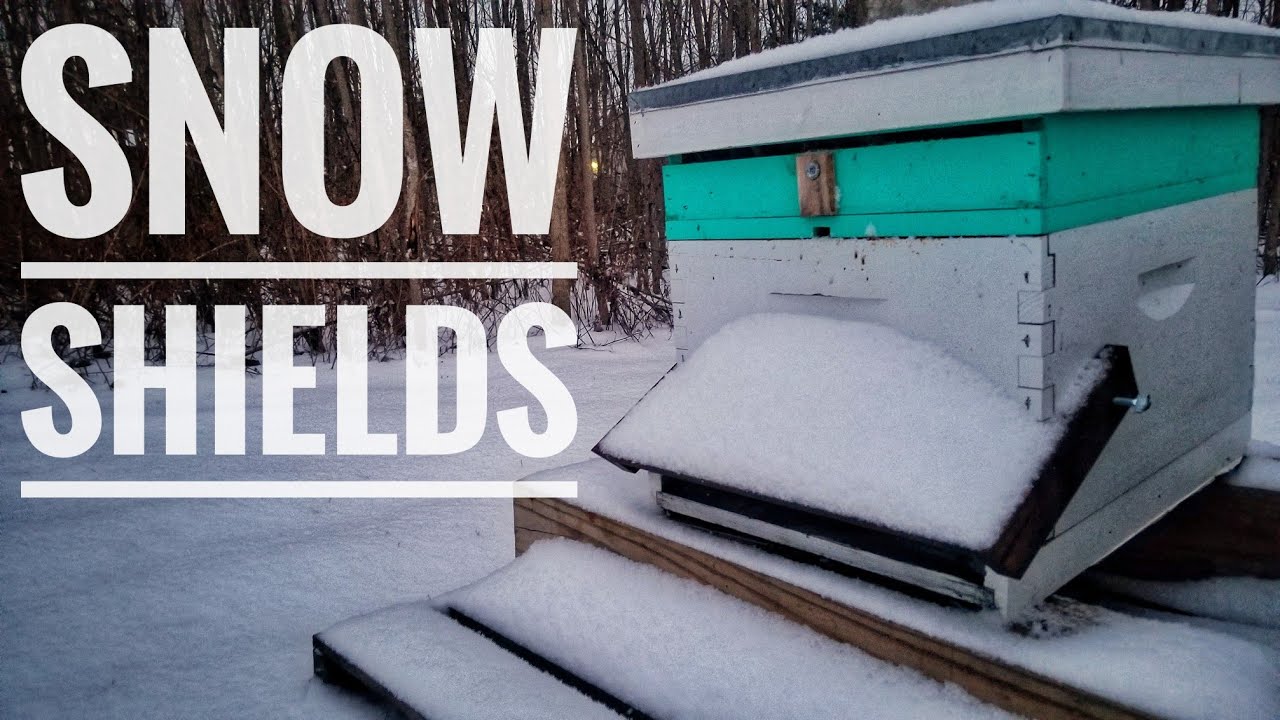 Save Your Bees | DIY Rain & Snow Protection - YouTube