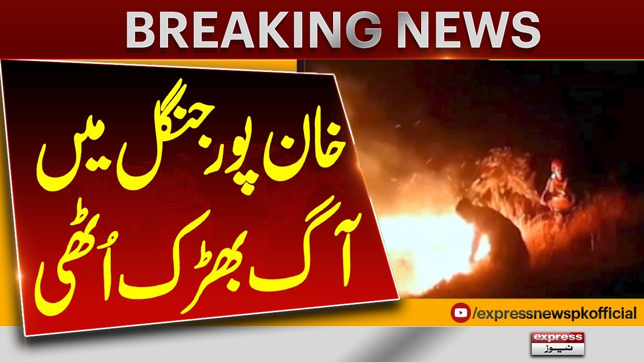 Fire Erupts In Khanpur Jungles | Fire In Pakistan Jungle | Pakistan ...