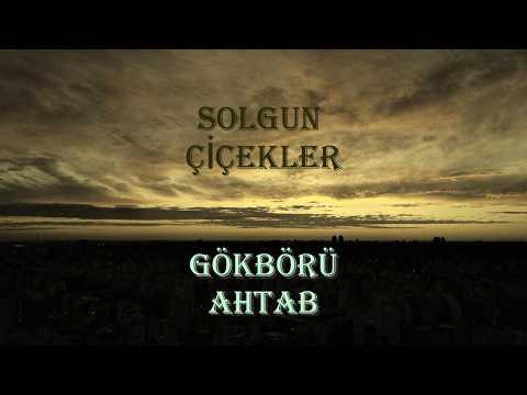 Gökbörü Ahtab - Solgun Çiçekler (Official Music Video)