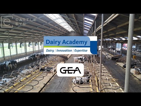 Vlog 70: De toekomst van klauwmonitoring; Cattle Eye van GEA zet de ...