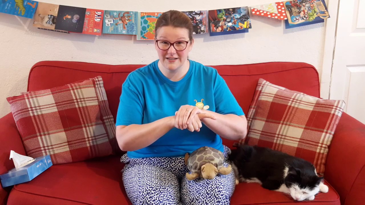 Tortoise Song 🐢 - Makaton Signed 👌 - YouTube