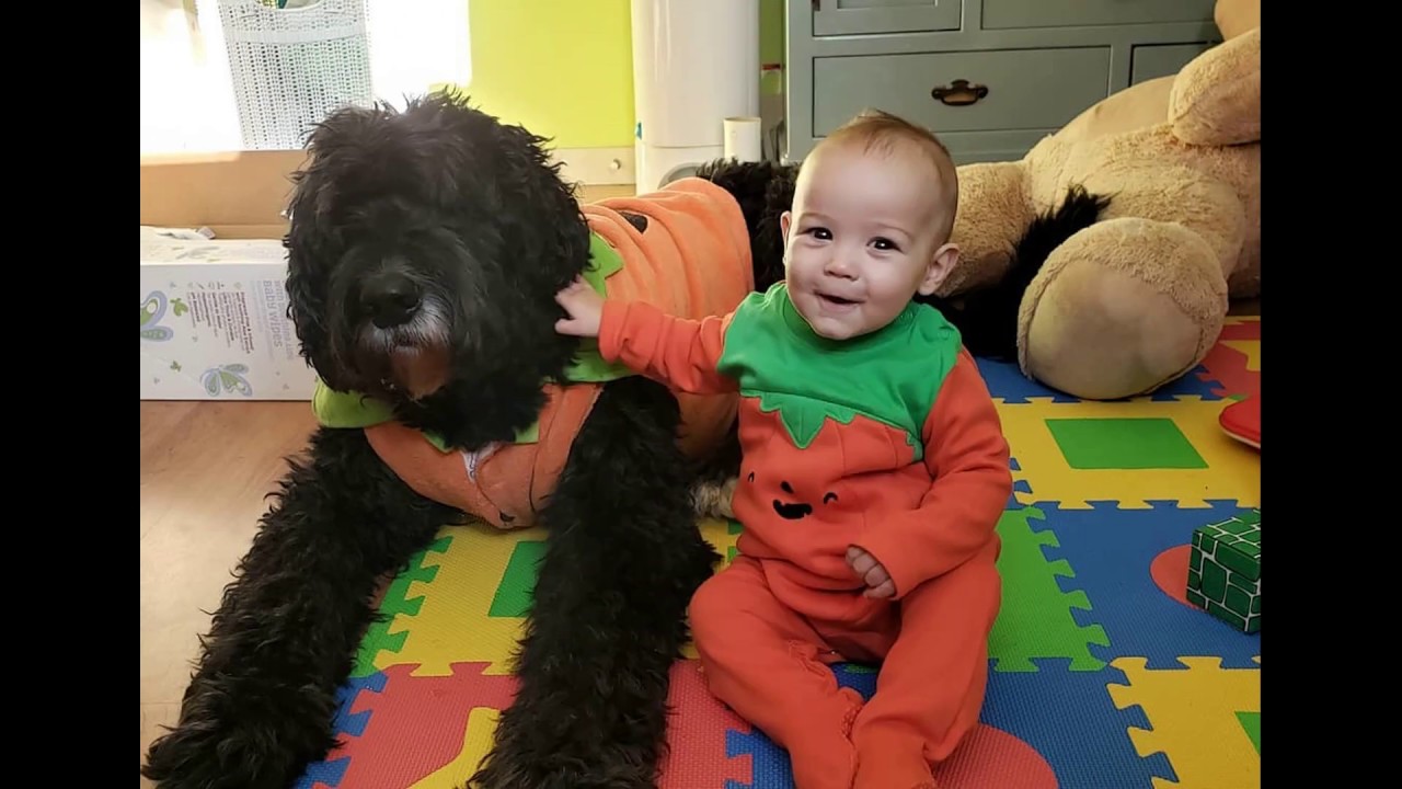 The Goodwin Family's 2019 - YouTube