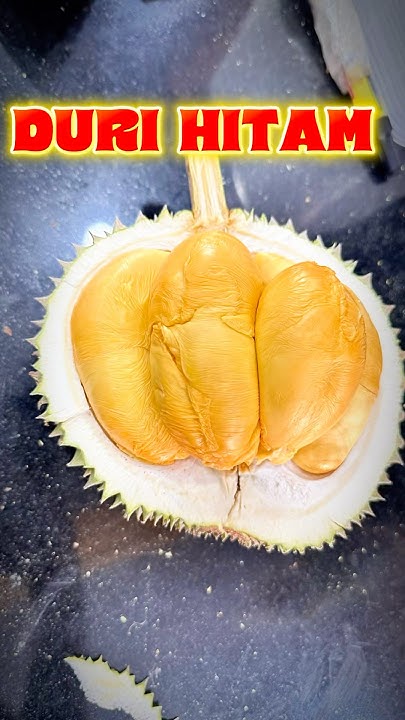 Durian duri hitam, Durian Ochee #shorts #durian - YouTube
