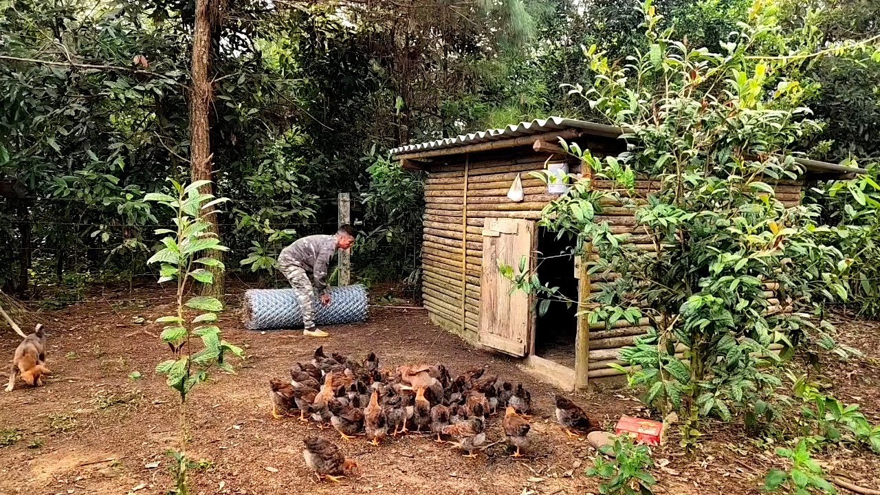 life in the hills. chicken cot. dig a hole to store water.rain - YouTube
