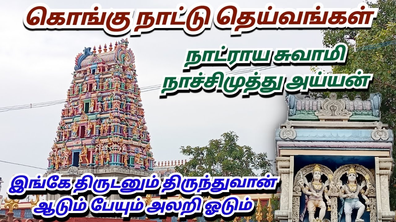 நாட்ராயன் கோயில், கொங்கு நாட்டு தெய்வங்கள், நாட்ராயன் நாச்சிமுத்து ...
