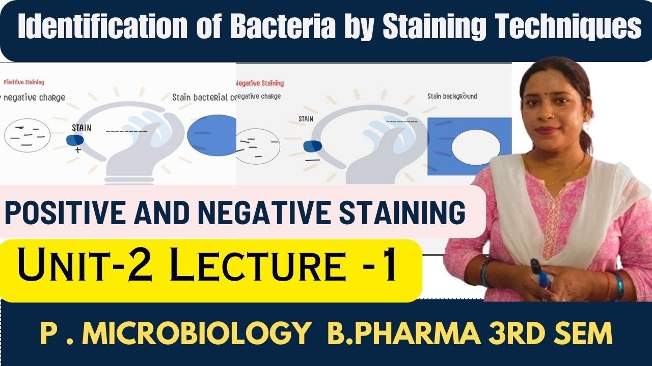 Identification of Bacteria Using Staining Techniques | Types of ...
