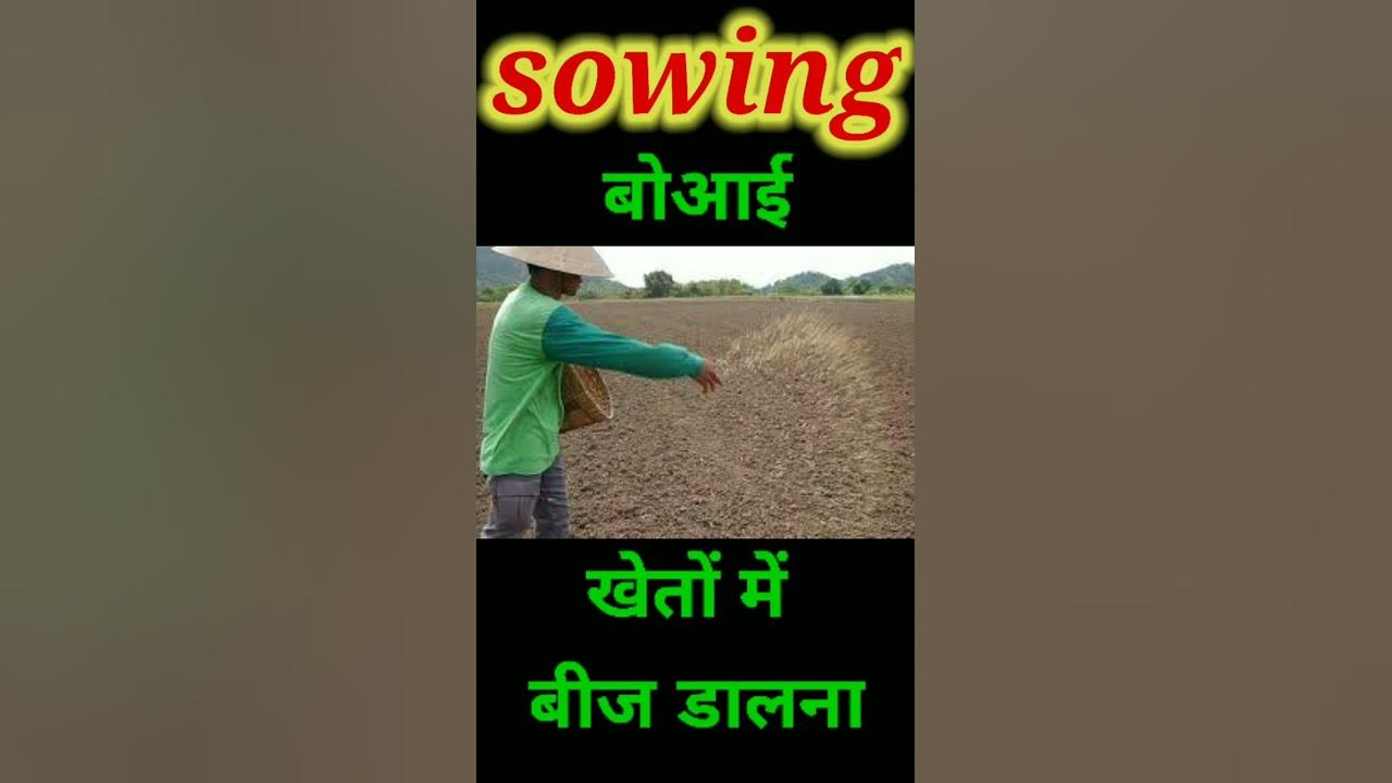 What Is Agriculture Definition Of Agriculture Quick Revision Notes what-is-agriculture-definition-of-agriculture-quick-revision-notes