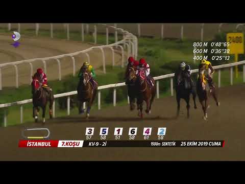 TAY TV Canlı Yayını