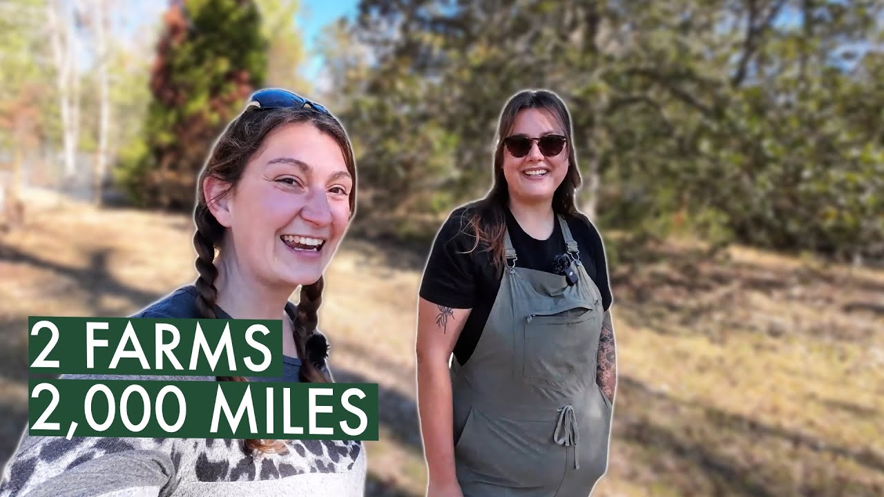She Has TWO FARMS, 2,000 Miles Apart (Bad Dog Farms) - YouTube