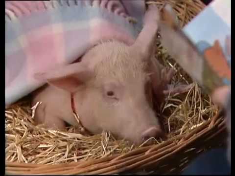 Julkalendern 1982 Albert oc Herberberts Jul Del 15