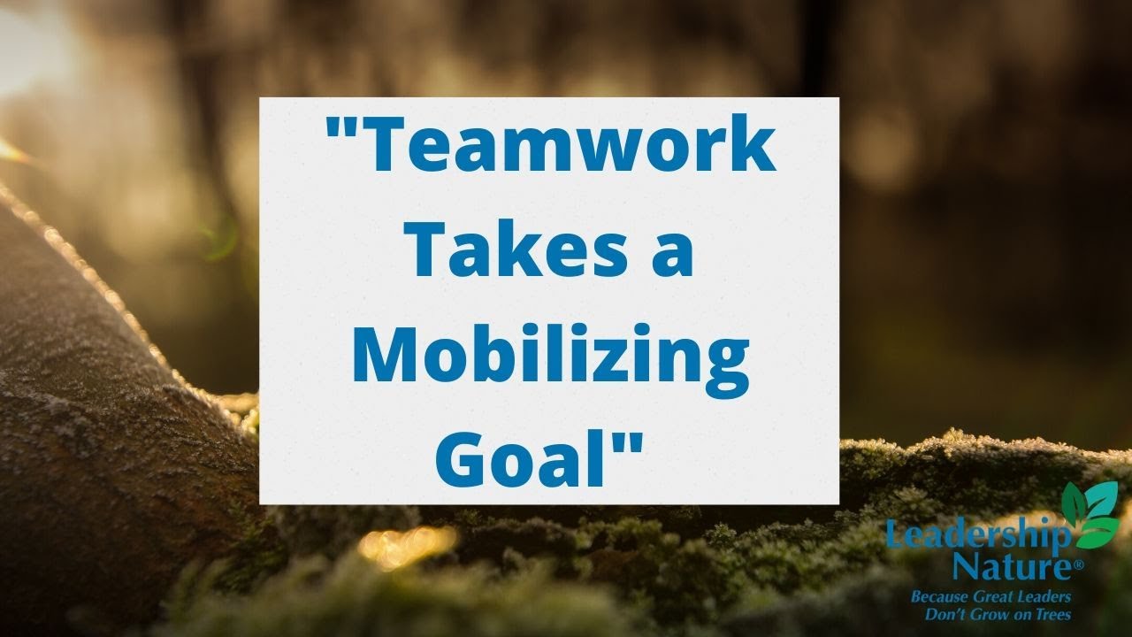 Teamwork Takes a Mobilizing Goal - YouTube