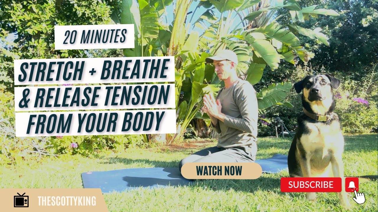 20 Minute Stretch Relief & Release For Back, Hips and Shoulders - YouTube