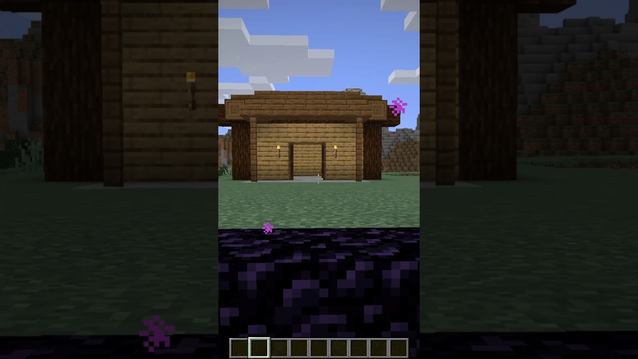 SEE THROUGH Nether Portals (Minecraft Mods in 60) - YouTube