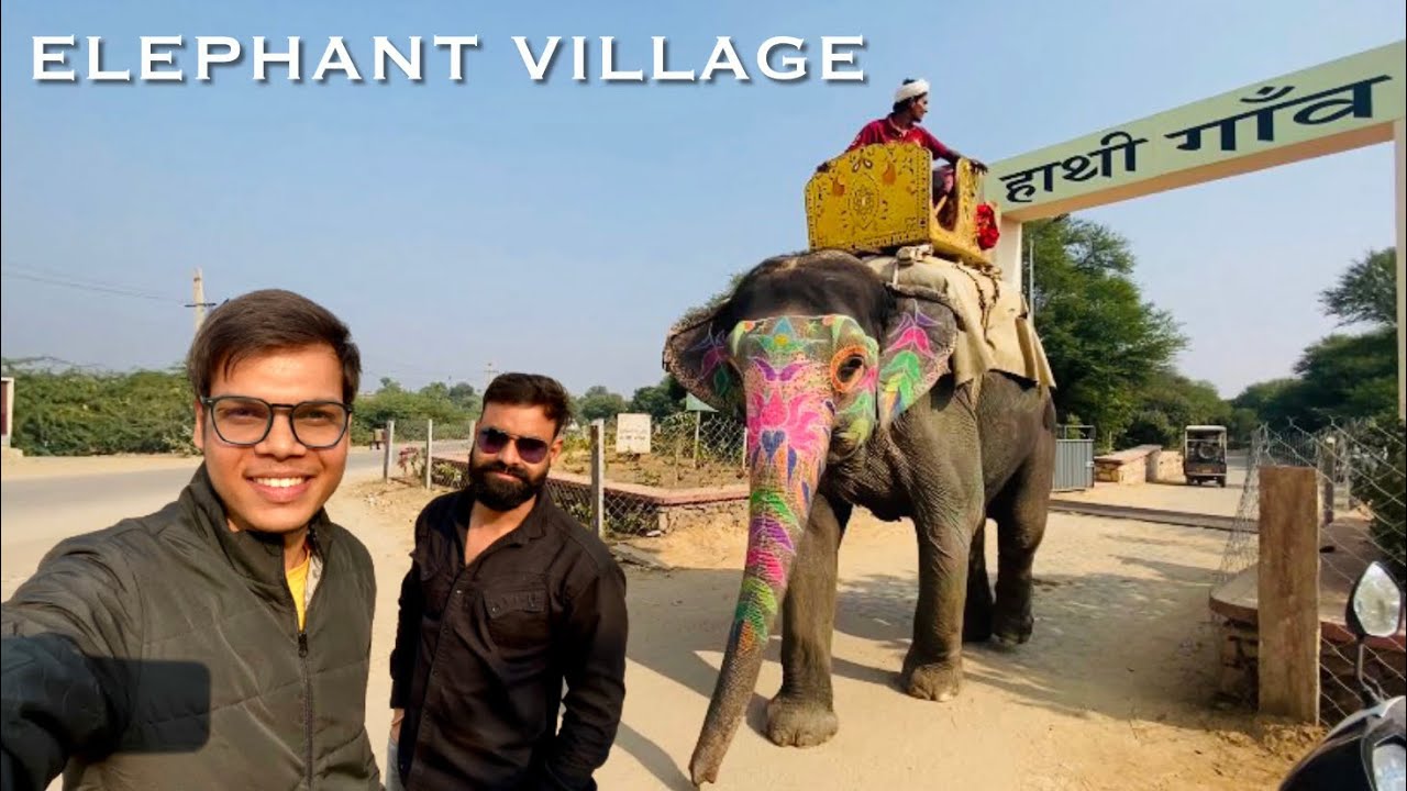 Elephant Village Jaipur 🐘 | Hathi Gaon Jaipur - YouTube