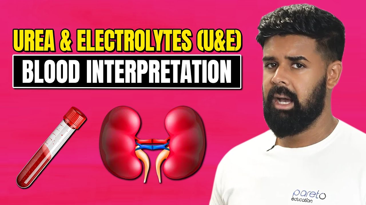 Urea & Electrolytes (U&E) Blood Interpretation | Pareto Education - YouTube