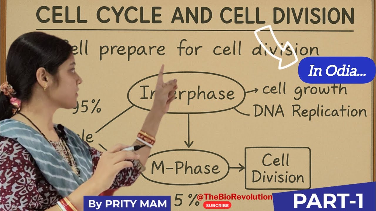 Cell Cycle And Cell Division [Part 1] | Class 11_NCERT | In Odia By ...
