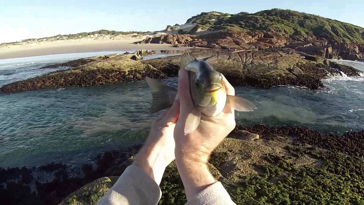 LUDERICK FISHING OFF THE ROCKS - YouTube