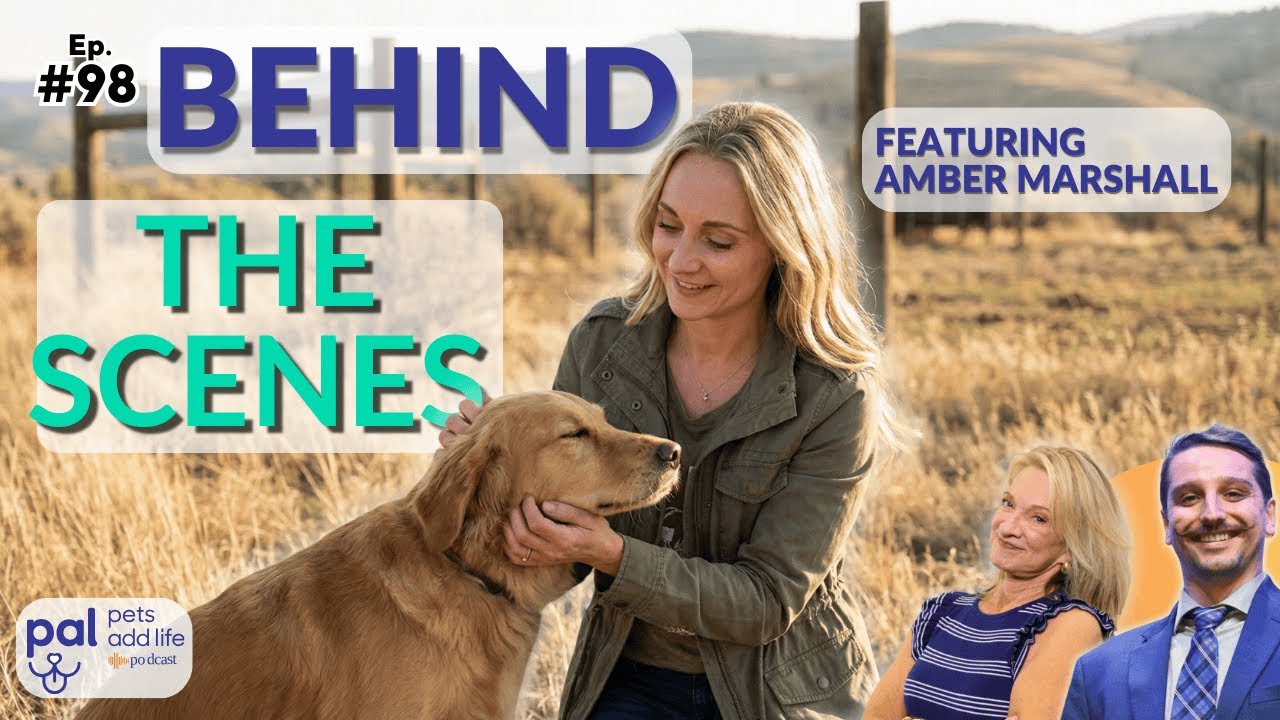 Behind the Scenes: How Your Favorite Actors REALLY Care for Animals ...