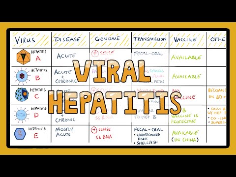 Vergleich viraler Hepatitis in 3 Minuten – Welche verschiedenen Arten viraler Hepatitis gibt es?