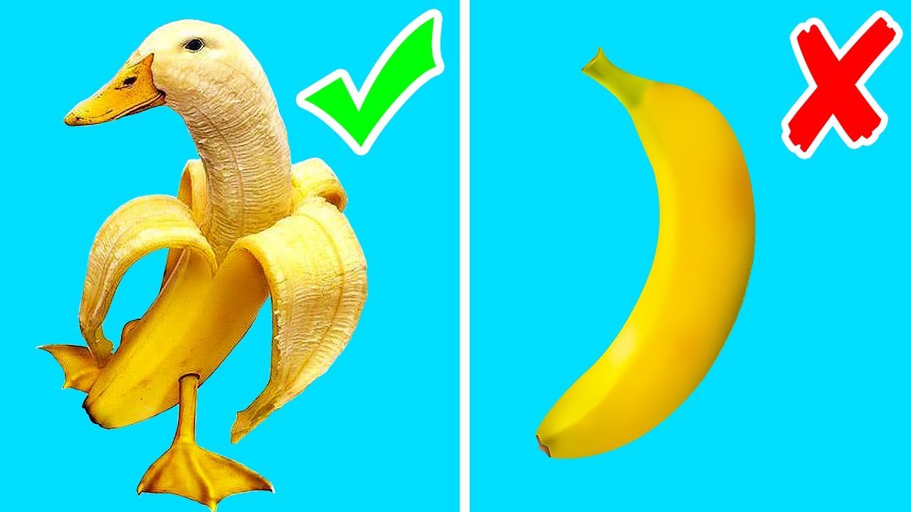 How To Do 10 ANIMAL Magic Tricks! - YouTube