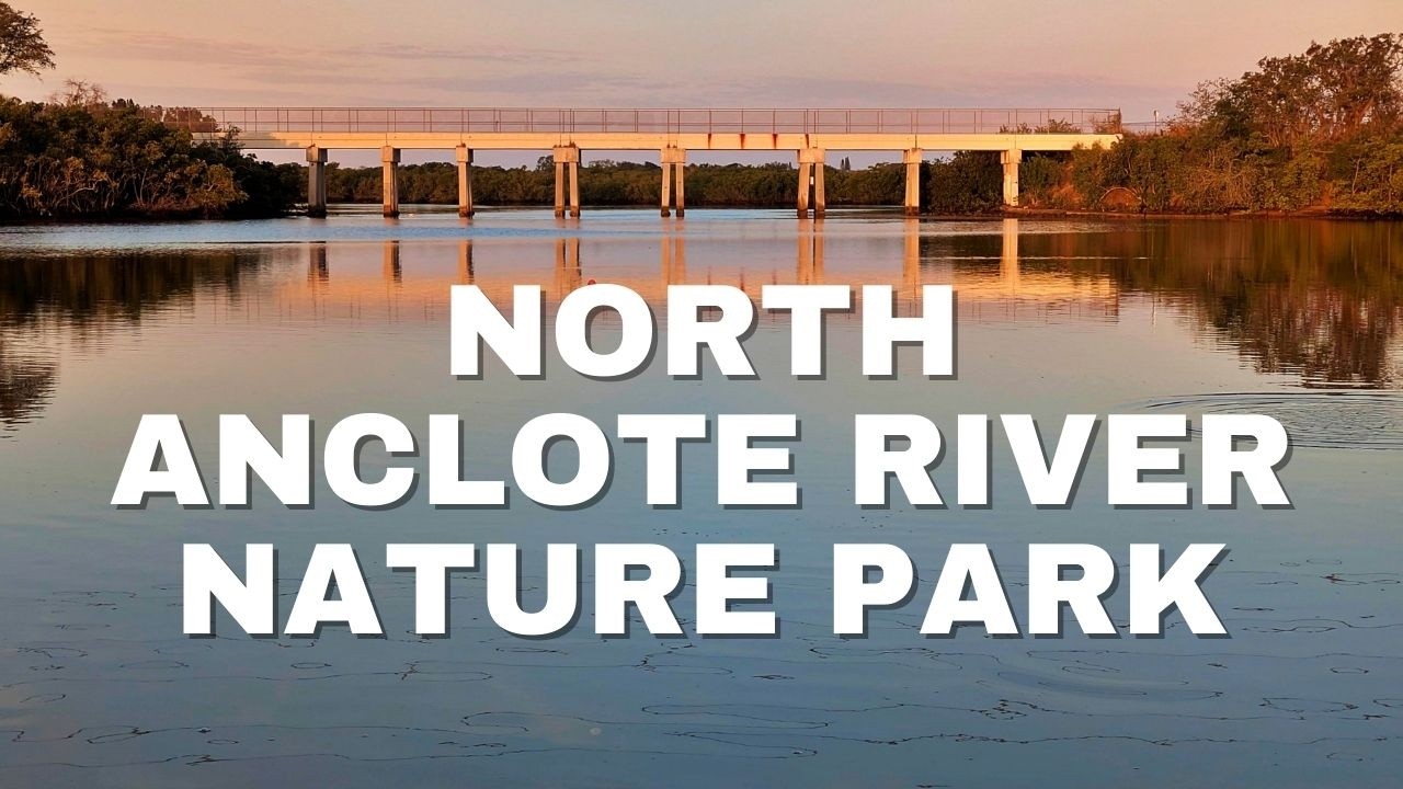 Sunrise Walk | North Anclote River Nature Park | Tarpon Springs - YouTube