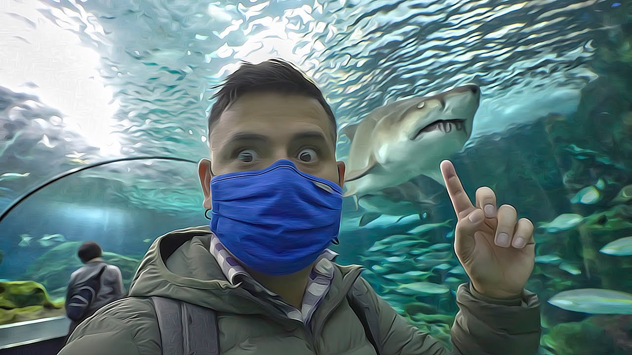 The REAL SHARK TANK 🦈 || Hindi Vlog - YouTube
