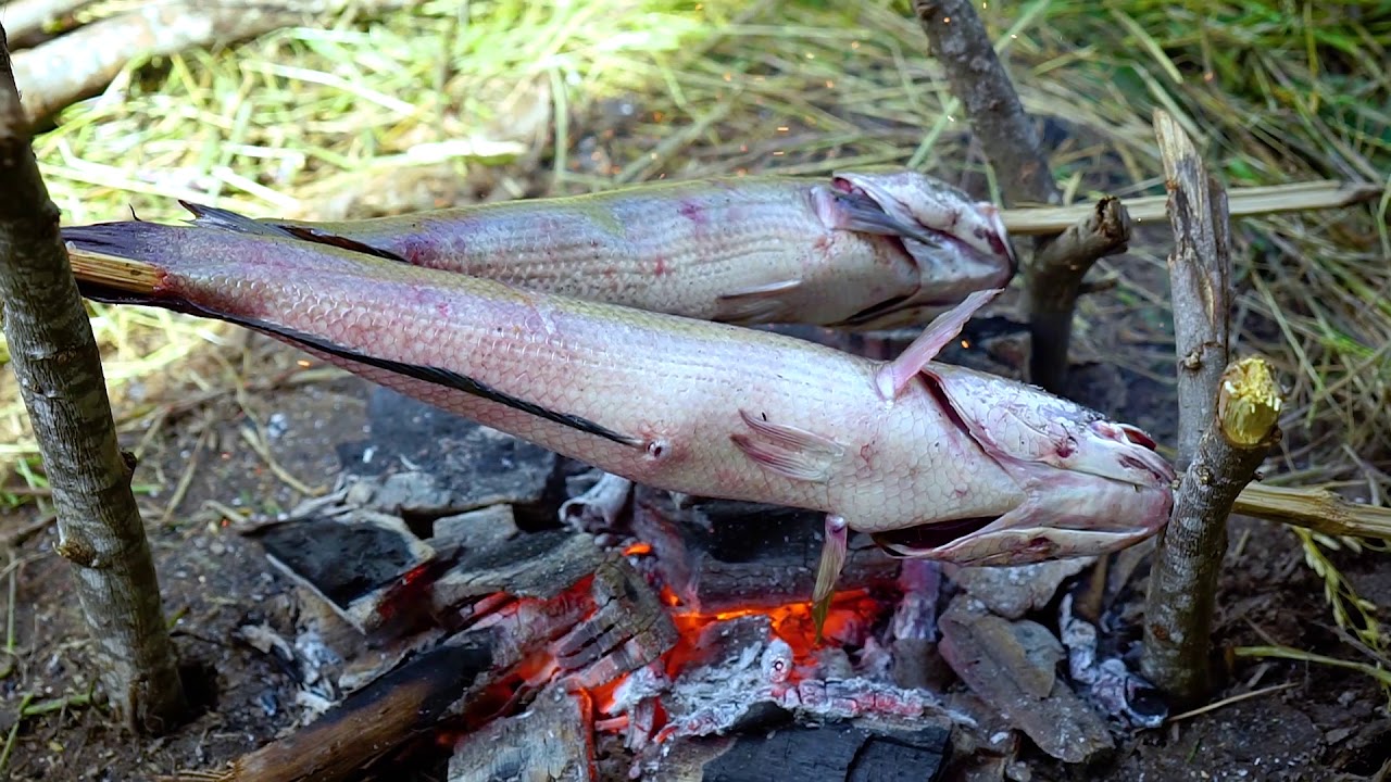 Yummy Cooking Snakehead Fish And Eating With Green Vegetable Very yummy-cooking-snakehead-fish-and-eating-with-green-vegetable-very