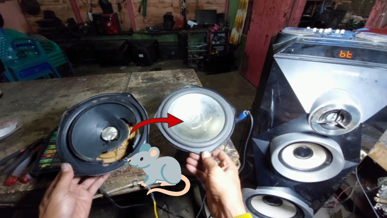 Membran speaker Subwoofer 8 inch dimakan tikus,Bisa bagus kembali - YouTube