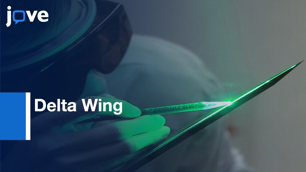 Flow Structure Imaging over Delta Wing by Flow Visualization Methods ...