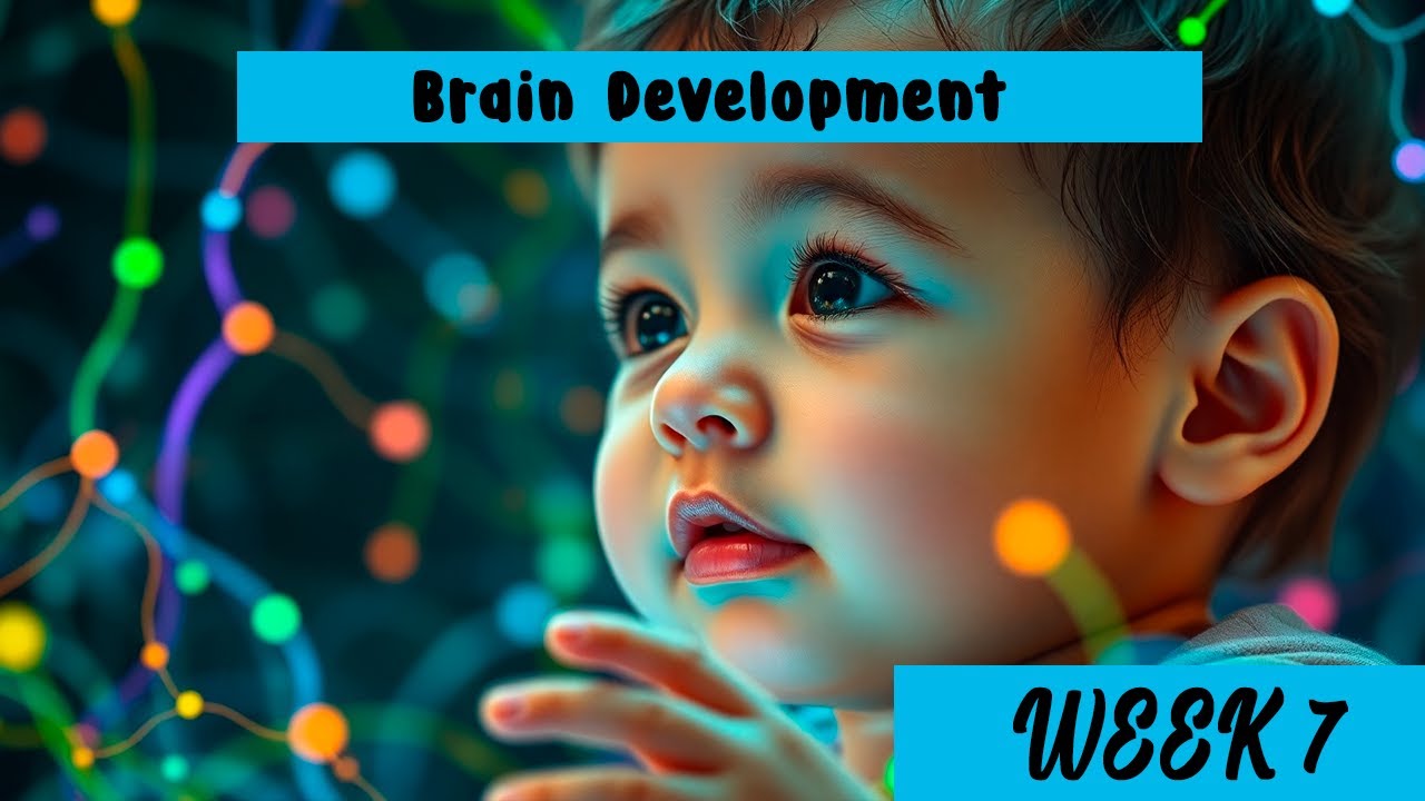 Week 7: Rapid Brain Development and Early Growth - YouTube