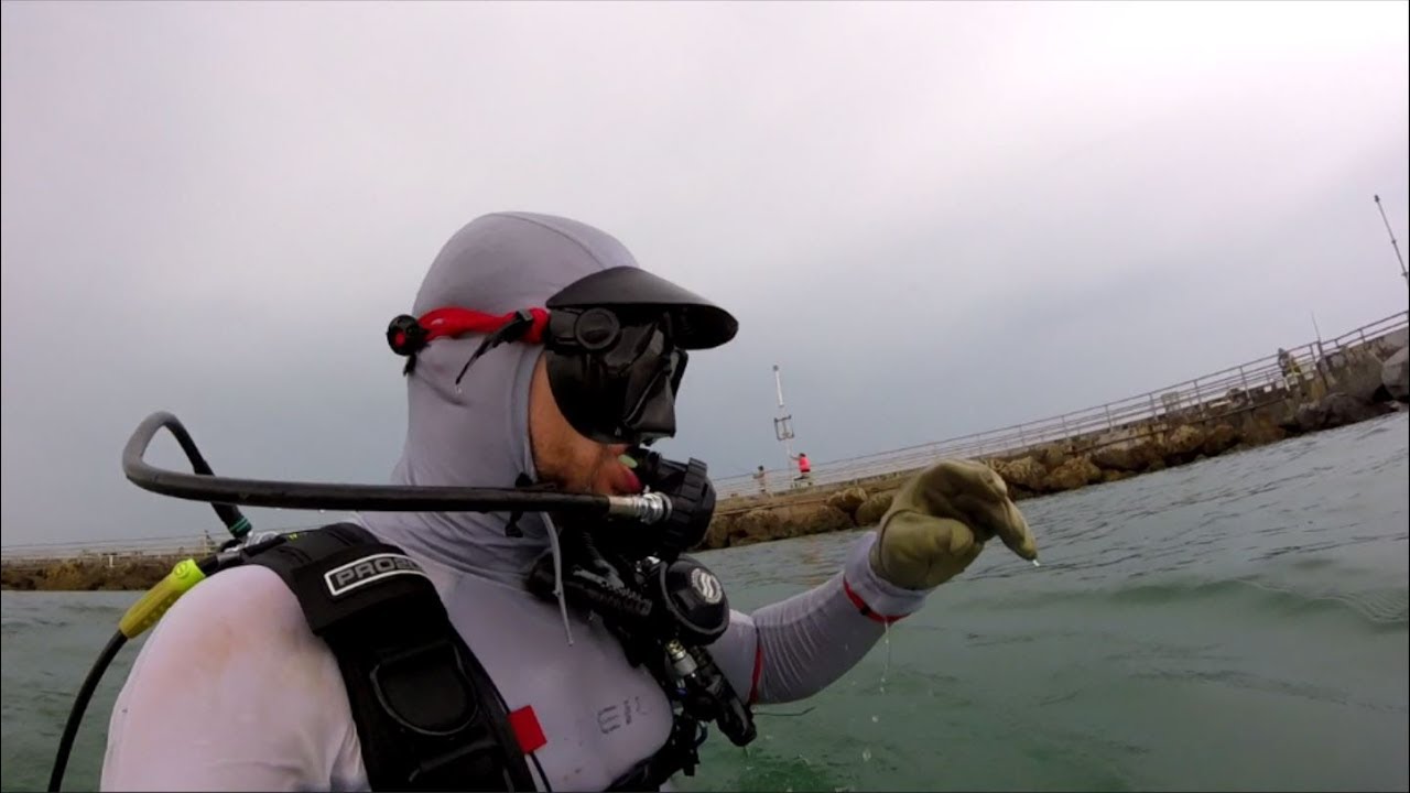 Diving around Jupiter, FL fishing point ( Inlet ). June 2019 - YouTube
