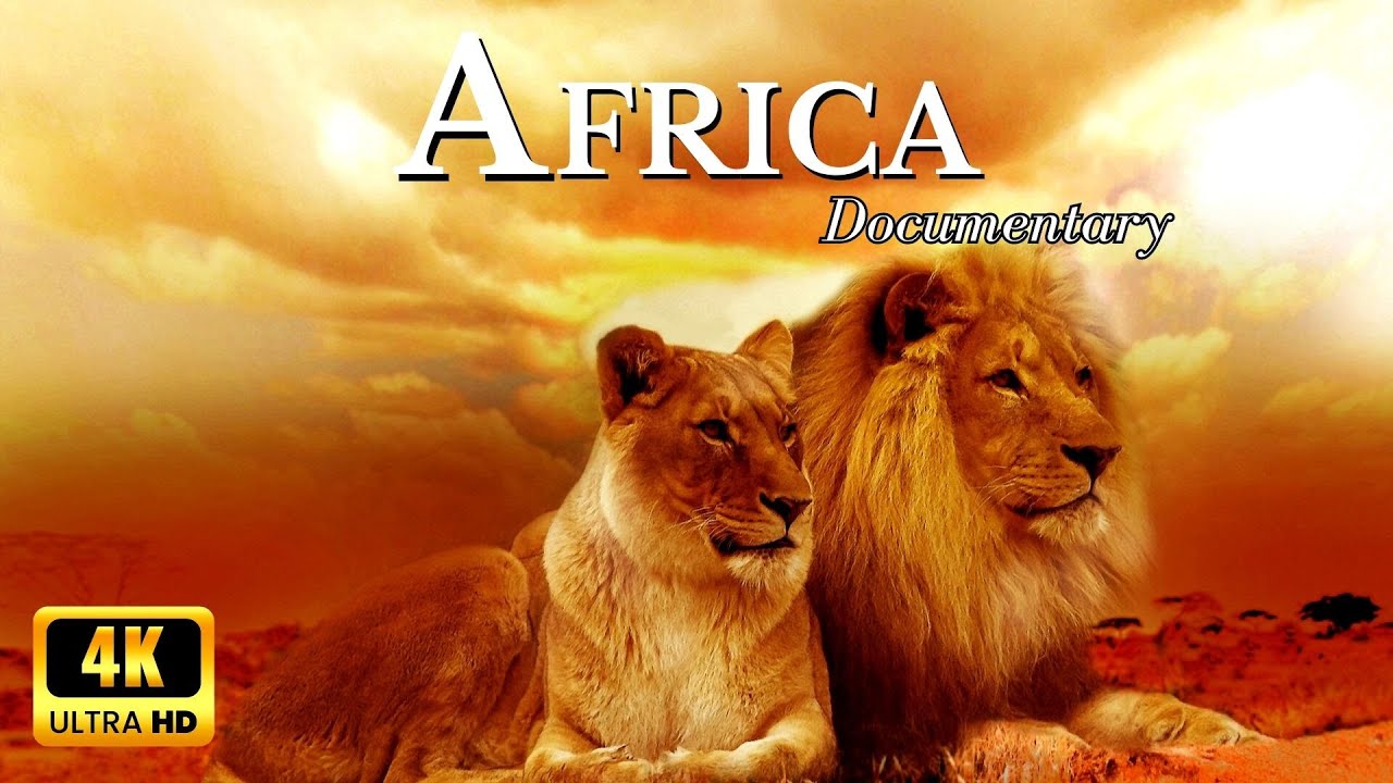 Africa Documentary in 4K resolution. - YouTube
