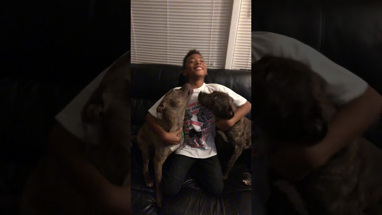 Intro to Devaux_xxx - YouTube