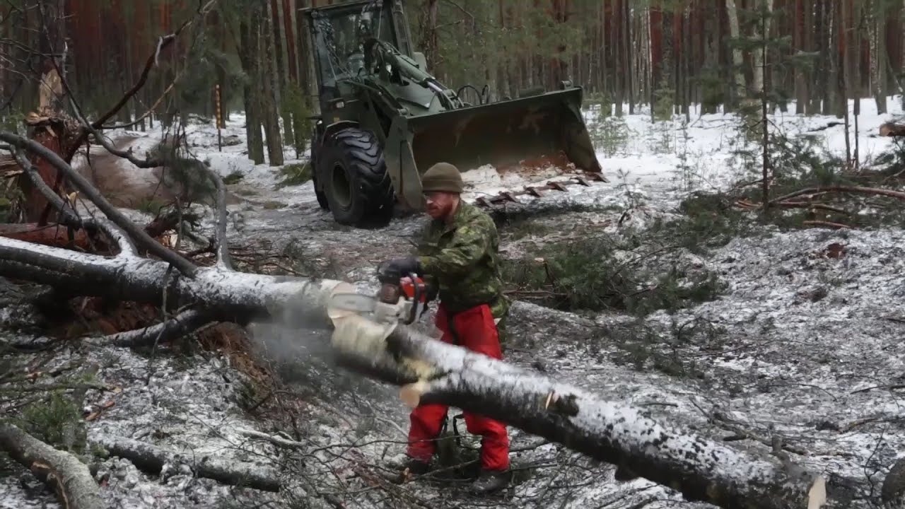 Nature's Tank Trap - YouTube