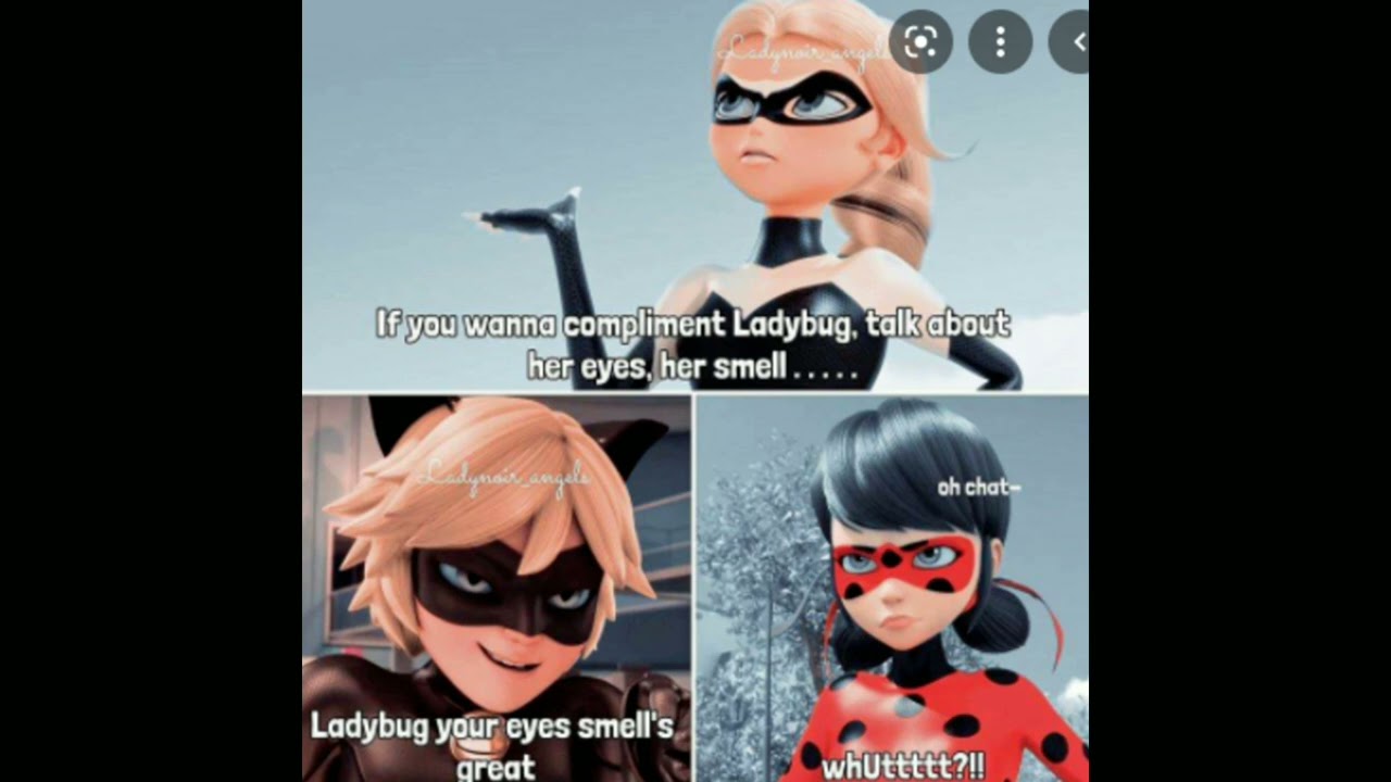 Adrienette Memes || Miraculous ladybug Memes || Funny and new Mlb memes ...