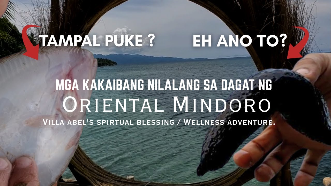 Mga Kakaibang nilalang sa Dagat | Tampal Puke??? | Oriental Mindoro ...