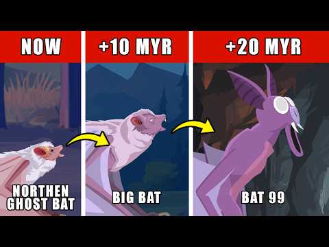 The Bat 99 Origin Evolution: How The Bat 99 Could Have Evolved
