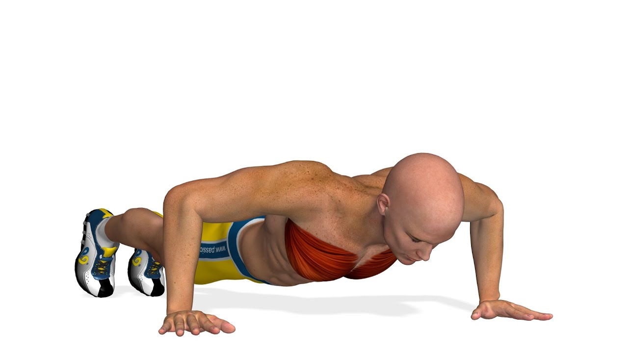 Ασκήσεις για το στήθος: Push-Ups - YouTube