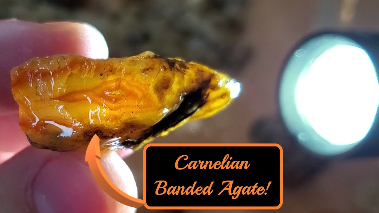 SO MANY Agates At The Creek! | Washington Creek Rockhounding - YouTube