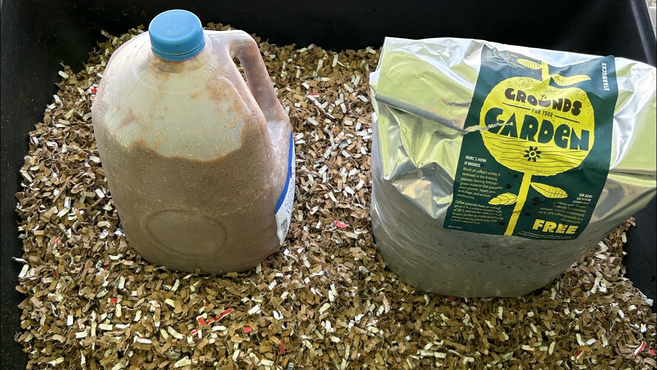 Anaerobic Bacteria - Good or Bad? Plus Pre-compost Refresher - YouTube