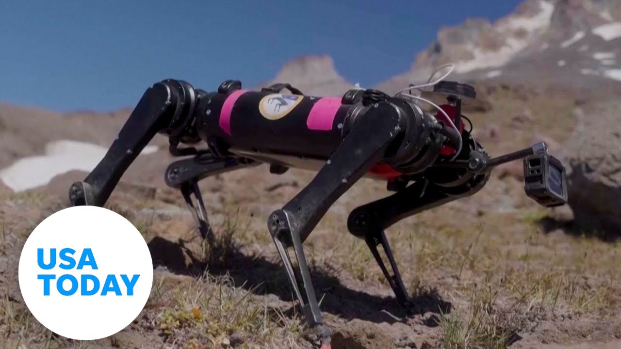 Meet a robot dog that's being tested for Space | USA TODAY - YouTube