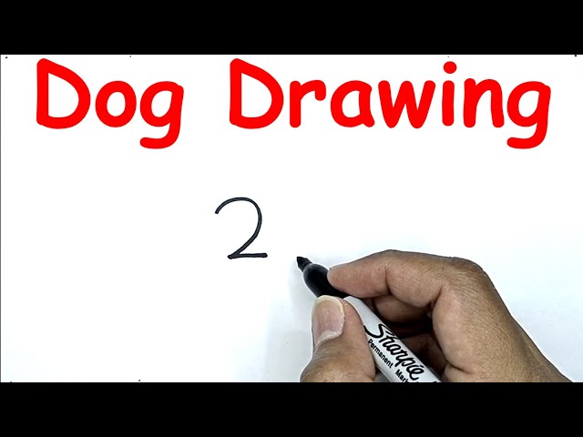 How To Draw A Dog Sketch With Number 2 | Drawing With Number - Videos ...