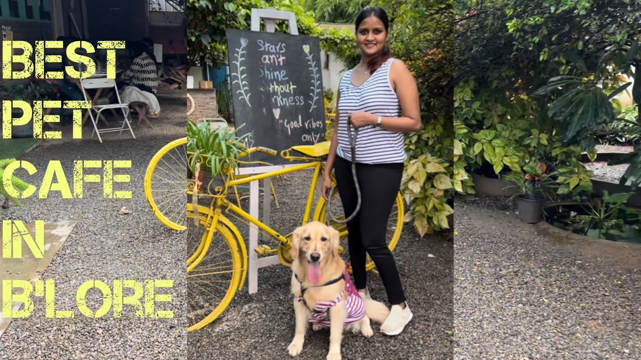 FC_Goldens | Best Budget Cafe in Bangalore | Must visit place | Pet ...