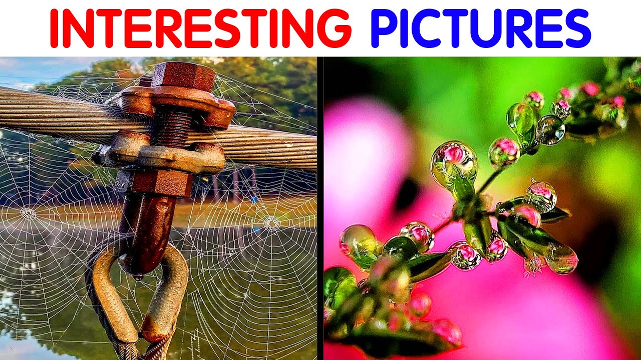 This FB Page Shares Spectacular Photos Of Unspectacular Things, Here ...