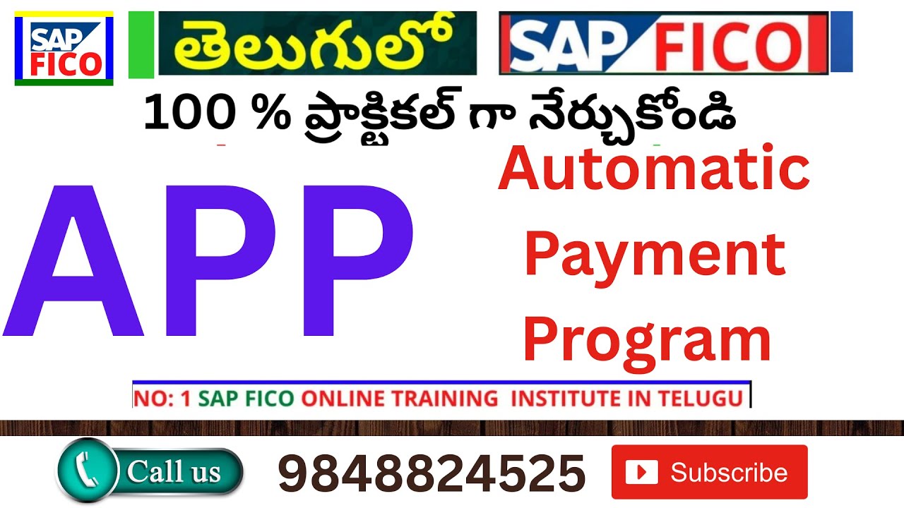 Automatic Payment Program (APP) in SAP FICO T FBZP / F110 - YouTube