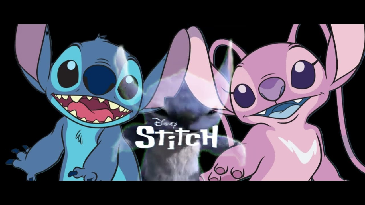 stitch wallpaper i was bored aging - YouTube
